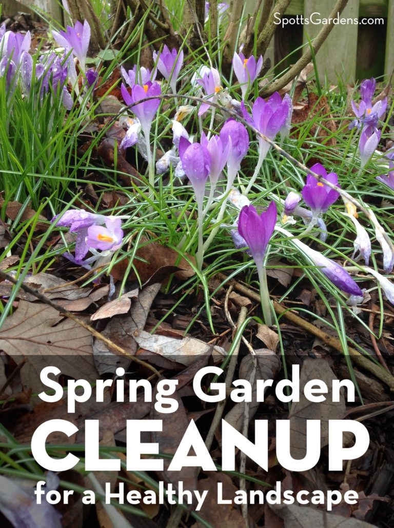 Spring Garden Cleanup for a Healthy Landscape - Spotts Garden Service